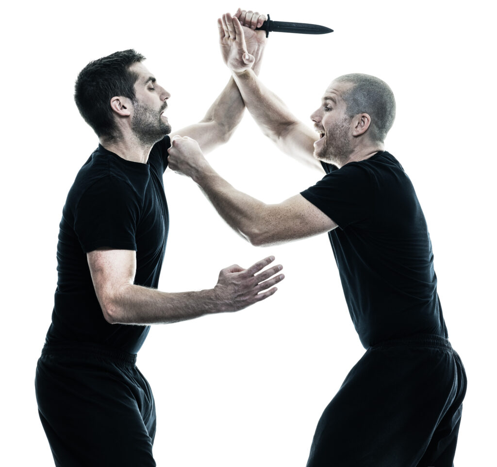 The Origins and Evolution of Krav Maga: From Self-Defence to Global ...